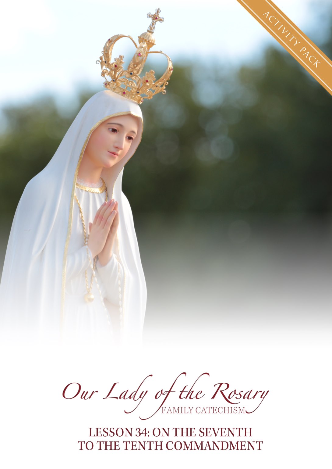 Lesson 34: On the Seventh to the Tenth Commandments – Our Lady of the ...